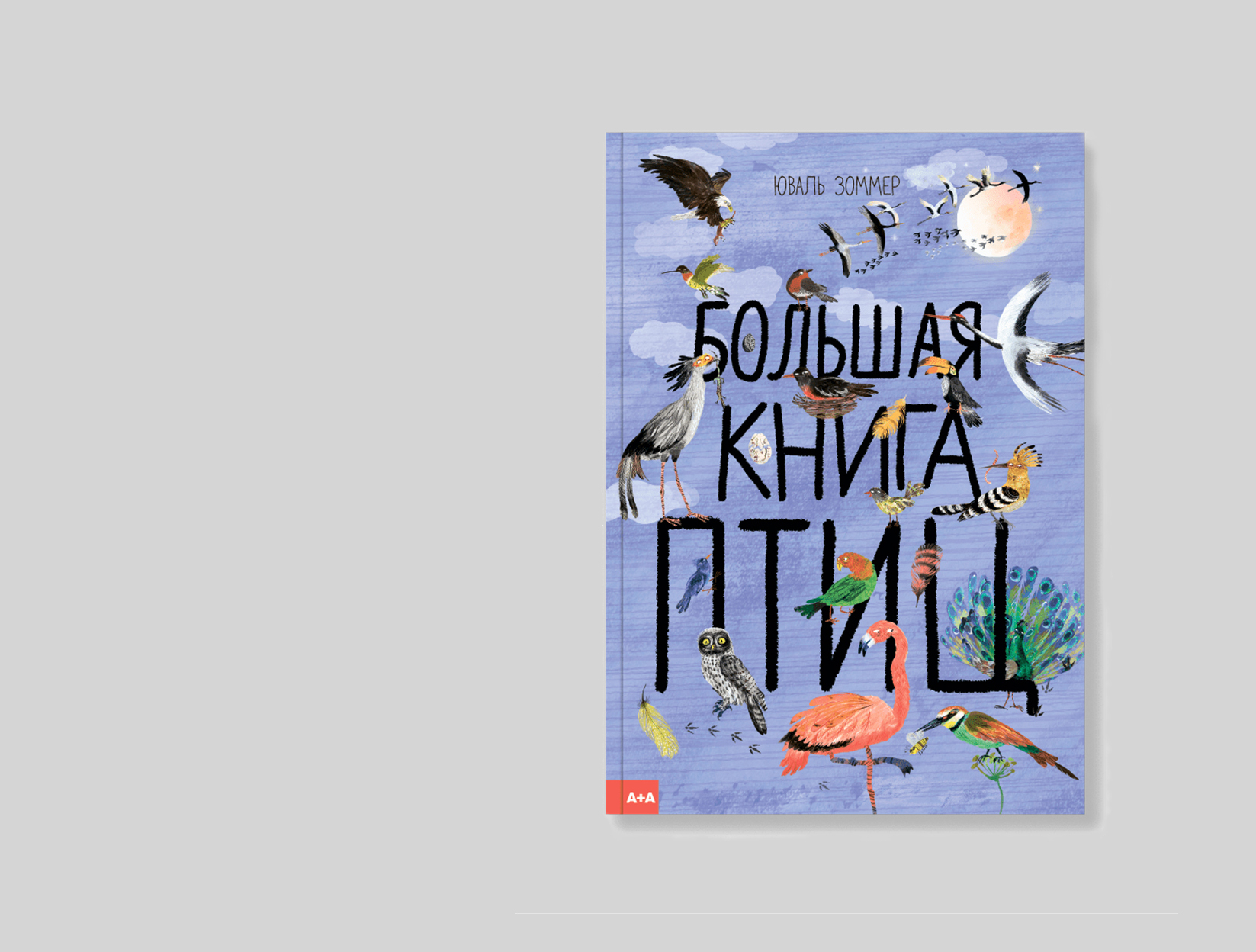 Чиж или зяблик: 10 увлекательных книг про птиц для детей | Афиша – подборки